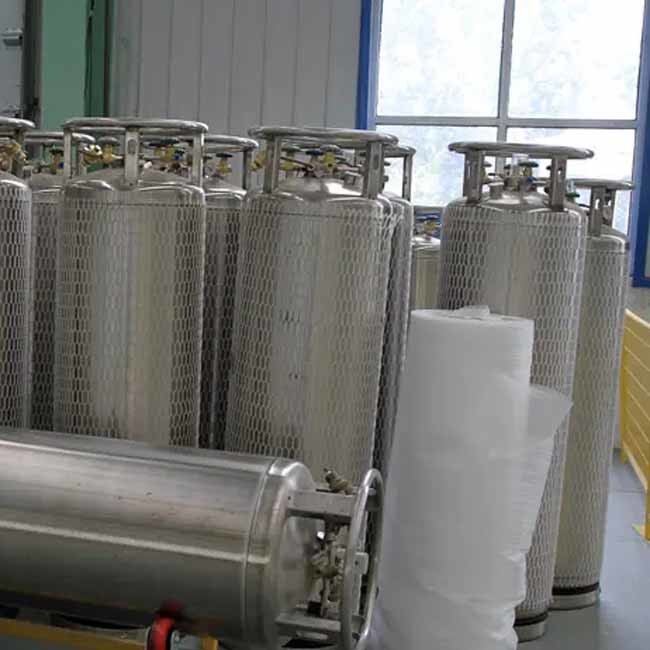 Stainless Steel LN2 Dewar Tank Cryogenic Liquid CO2 O2 Argon LNG